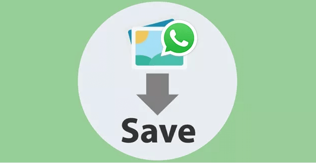 How To Save WhatsApp Photos To Gallery On Android iPhone How To Save WhatsApp Photos To Gallery On Android iPhone