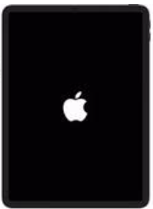 5種修復iPad一直重啟的簡單方法